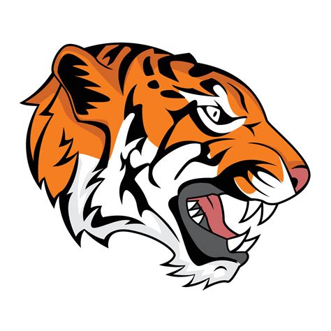 Angry Tiger Head Side View 14486572 Vector Art At Vecteezy