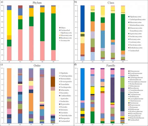 Dynamics Of Fungal Community Structure In A Silver Birch Betula Pendula Roth Succession