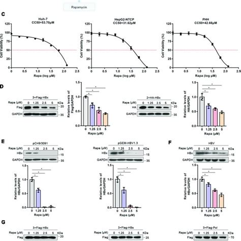 The Clinical Characteristics Of The CHB Patients In Cohort C Download Scientific Diagram