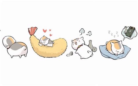 猫咪老师 高清图片堆糖美图壁纸兴趣社区
