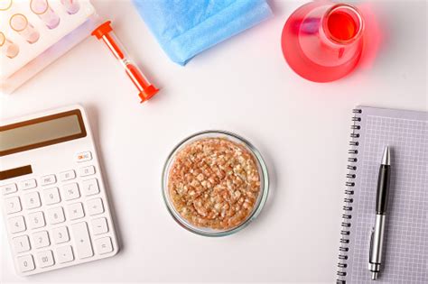 합성 육류 생산 실험실에서 적합성을 확인하기 위해 제품을 확인합니다 인공 고기는 미래의 음식입니다 시험 관 고기 0명에 대한 스톡 사진 및 기타 이미지 Istock