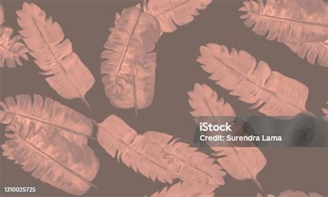 핑크 원활한 단풍 검은 색 패턴 잎 산호 열대 일러스트레이션 플로라 섬유 바나나 잎 플로럴 텍스처 스프링 배경 수채화 질감 0