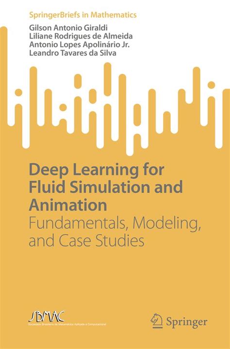 springerbriefs in mathematics deep learning for fluid simulation and