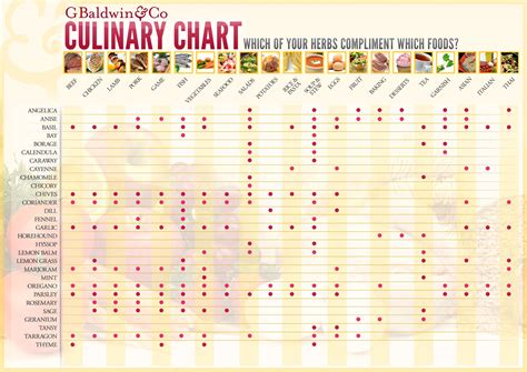 Which Of Your Herbs Compliment What Foods Spice Chart Culinary Herbs
