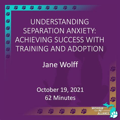 Understanding Separation Anxiety Achieving Success With Training And