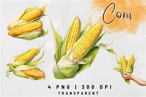Corn Clipart Png Graphic By Kathyfoxdesign · Creative Fabrica