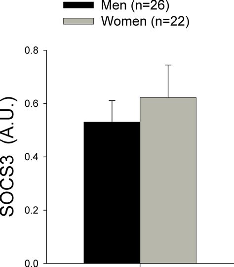 Suppressor Of Cytokine Signaling 3 Socs3 Protein Content In Muscle