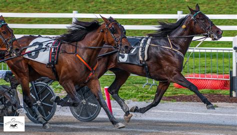 Yanaba Lowers Her Track Record In 50000 Trot Harnesslink