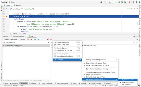 Managing Variables Loading Policy PyCharm