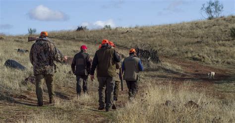 Faits Divers Accident De Chasse Dans Lhérault Deux Hommes Blessés