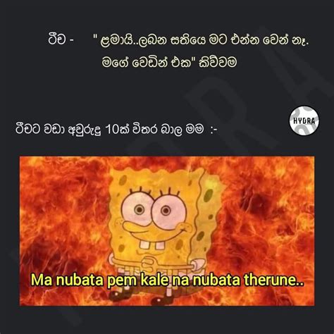 Chalitha Madhuwantha Chaliya 😂😂 ඔයාගෙ කොන්ඩේ ක්‍රේල් යාලුවව මෙන්සන්