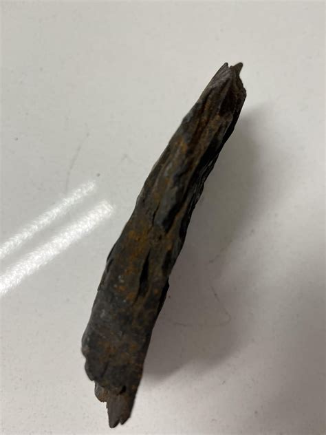 Fossil Or Other Mineralization Swva Rfossilid