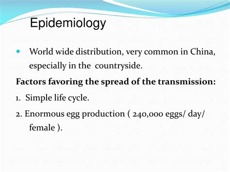 Ppt Ascaris Lumbricoides Powerpoint Presentation Free Download Id