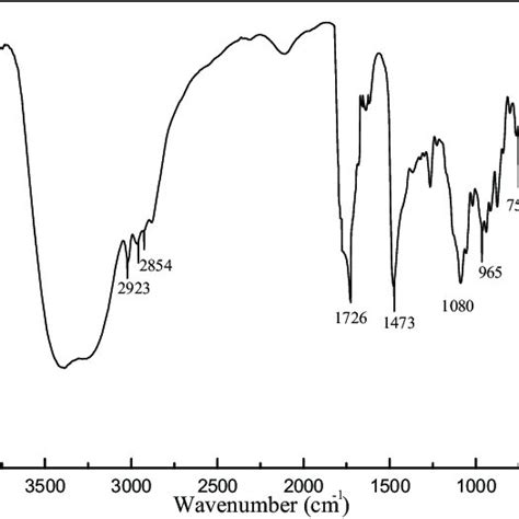 Ftir Spectrum Of The Copolymer Synthesized With 12 Dmech Download