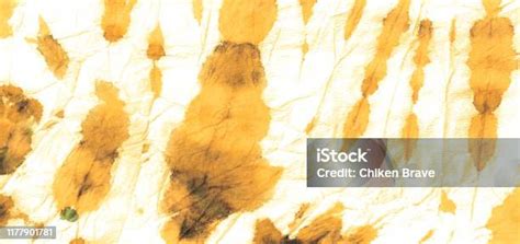 오렌지 수채화 그림 수채화 그림 예술 더러운 텍스처 아트워크를 제작합니다 오트만 수채화 그림 예술적인 브러쉬 텍스처 활기찬