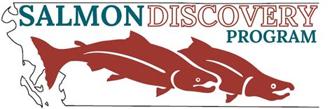 Salmon Discovery Program — Nooksack Salmon Enhancement Association