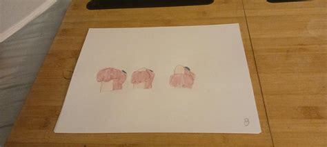 Princess Yoshi Part 8 By Dravenhooverart On Deviantart