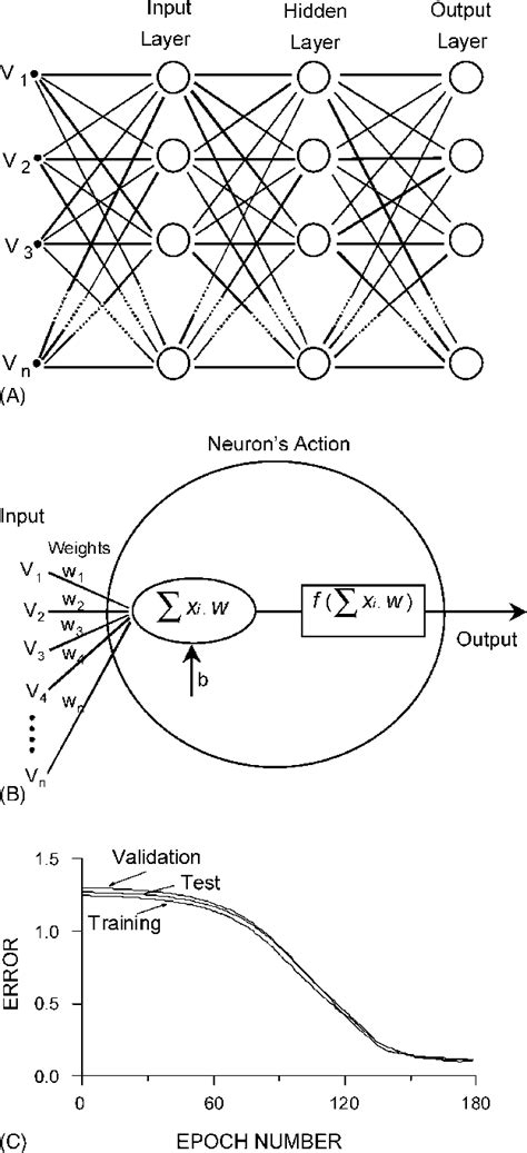 a the structure of a fully connected feed forward neural network used
