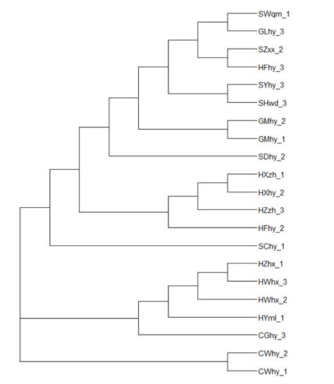 R语言ggtreemsa可视化进化树多序列比对的结果 腾讯云开发者社区 腾讯云