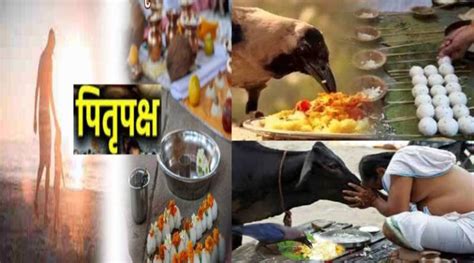 Pitru Paksha 2022 मनुष्य से पक्षी तक कई रूपों में पितर आते हैं आपके