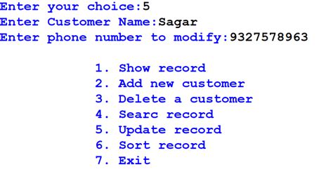 Practical File Computer Science Class 11 A Comprehensive Guide