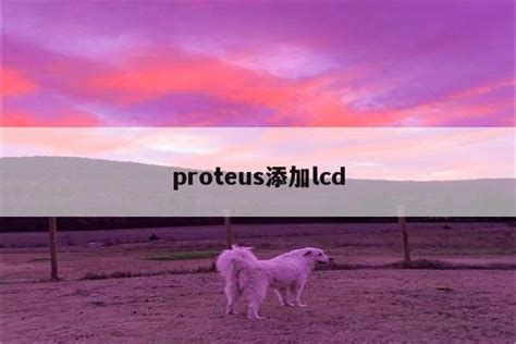 proteus添加lcd proteus相关 Proteus8软件 Proteus软件