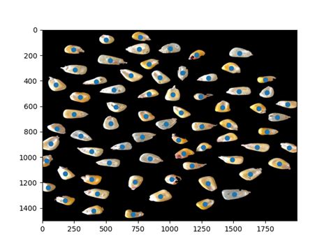 Python Digital Image Processing Of Corn Kernels Stack Overflow