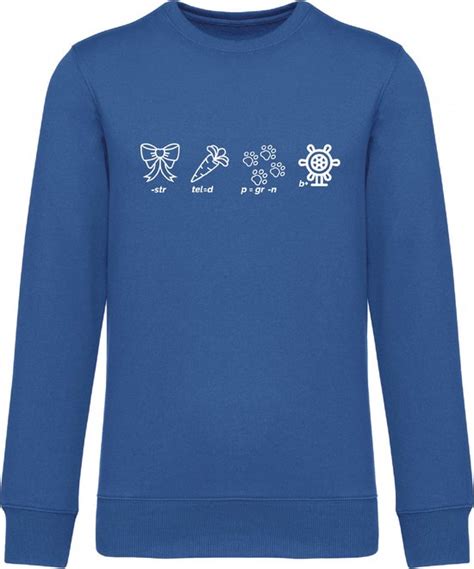 Ik Word Grote Broer Blauw 98104 Bol