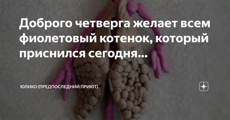 Доброго четверга желает всем фиолетовый котенок который приснился