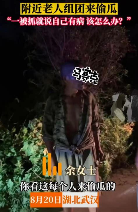 老人组团偷瓜后续：女主人报警南瓜反被砍，投资100万只回本几万 知乎