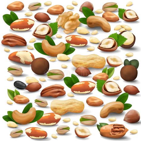 Square Background With Realistic Vector Nuts Icons Stock Illustration