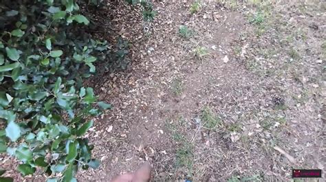 Cazzo Guardi Scopata Da Un Guardone Sconosciuto Lungo La Ferrovia