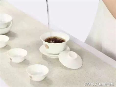 懂茶妹说茶10条茶知识让你缩小与资深茶友的差距