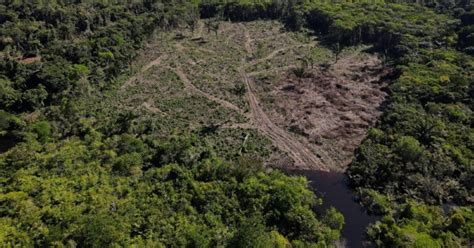 La Deforestación Del Amazonas Reduce Las Precipitaciones En América Del