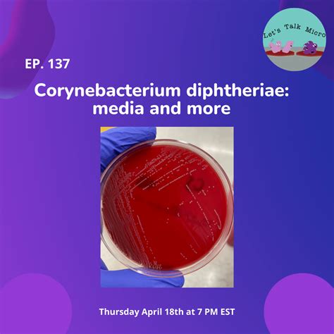 New Episode Alert Rletstalkmicro
