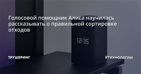 Голосовой помощник Алиса научилась рассказывать о правильной сортировке