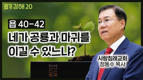 네가 공룡과 마귀를 이길 수 있느냐욥기서 강해 20 정동수 목사 사랑침례교회 킹제임스 흠정역 성경 설교 강해