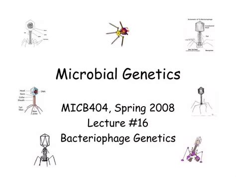 Ppt Microbial Genetics Powerpoint Presentation Free Download Id 6650811