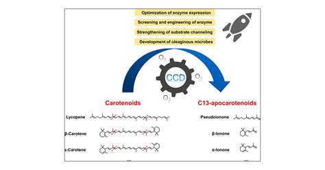 Carotenoid Cleavage Dioxygenase 1 And Its Application For The