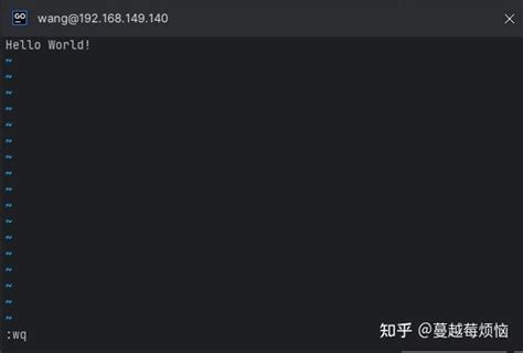 Goland远程开发ide：使用ssh远程连接服务器进行云端编程 知乎