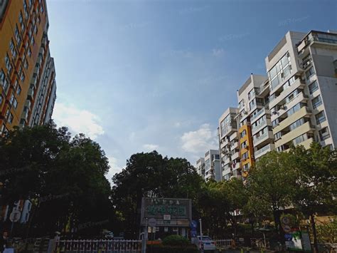 康桥半岛城中花园图片相册康桥半岛城中花园户型图样板间图装修效果图实景图 上海房天下