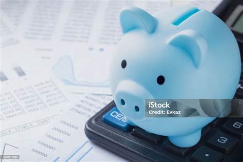 계산기와 재무 차트가 있는 배경에 돈을 위한 돼지 돈 상자 투자 및 자본 축적 개념 0명에 대한 스톡 사진 및 기타 이미지 0명 가계 경제 Istock
