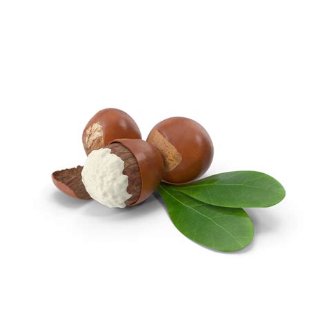 Shea Nude Model Png Images Psds For Download Pixelsquid