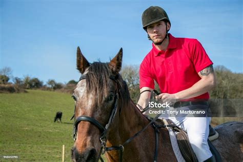 전통적인 영국 승마 그린 필드에 말에 의류에 잘생긴 말 라이더 갈색에 대한 스톡 사진 및 기타 이미지 갈색 검은색 구름 Istock