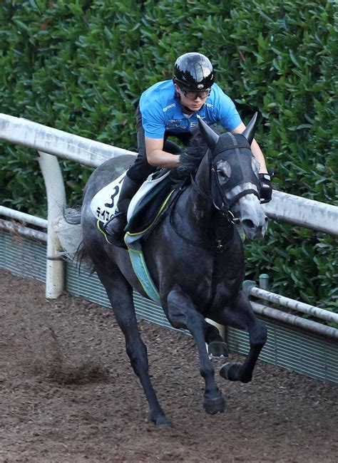 坂路を単走で追い切るテイエムスパーダ ― スポニチ Sponichi Annex ギャンブル
