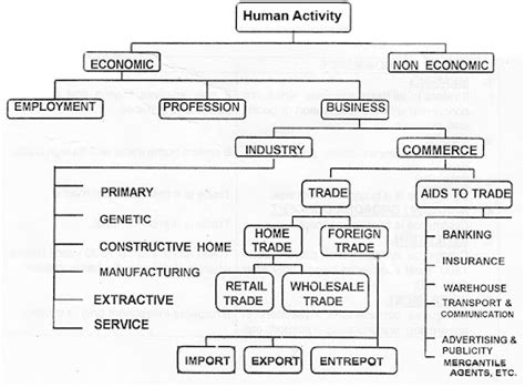 Scope Of Business Activities Lasopawarehouse