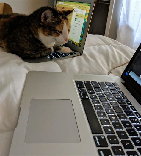 Problem Solved Scrolller