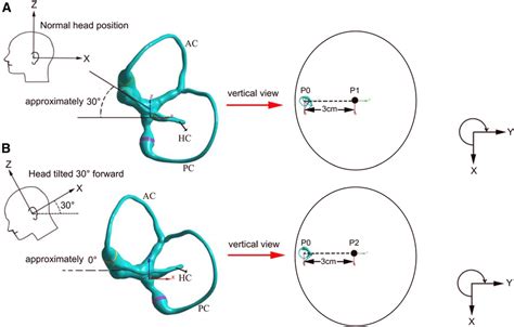 Prescribed Rotation Conditions The Center Of The Sccs Is Defined As