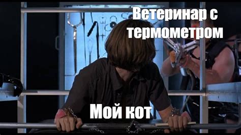 Сomics Meme Ветеринар с термометром Мой кот Comics Meme
