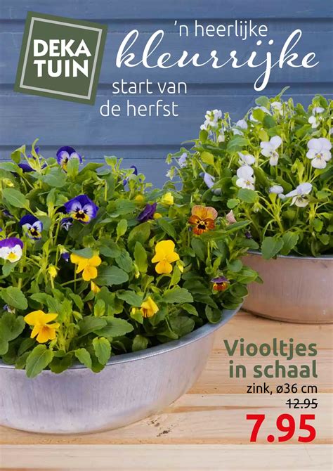 Kippie Folders 2025 Alle Actuele Aanbiedingen